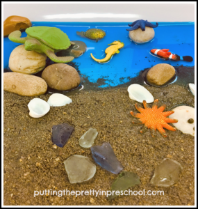 Sea Turtle Theme Activities