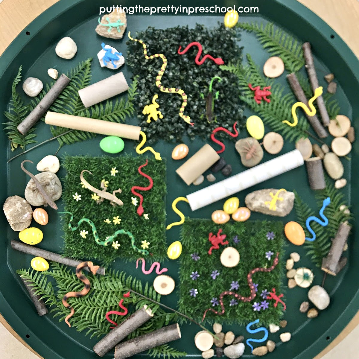 Reptile Active World Tray