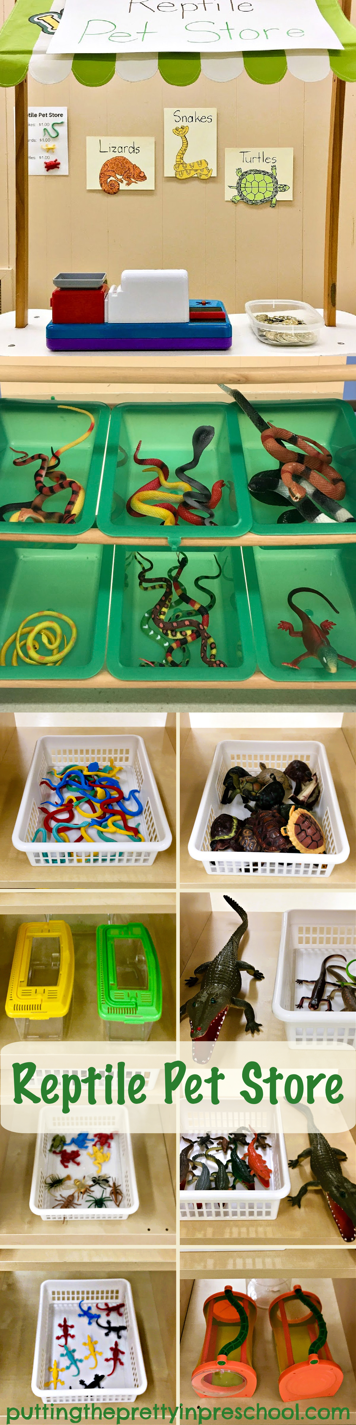 Reptile Pet Store Center