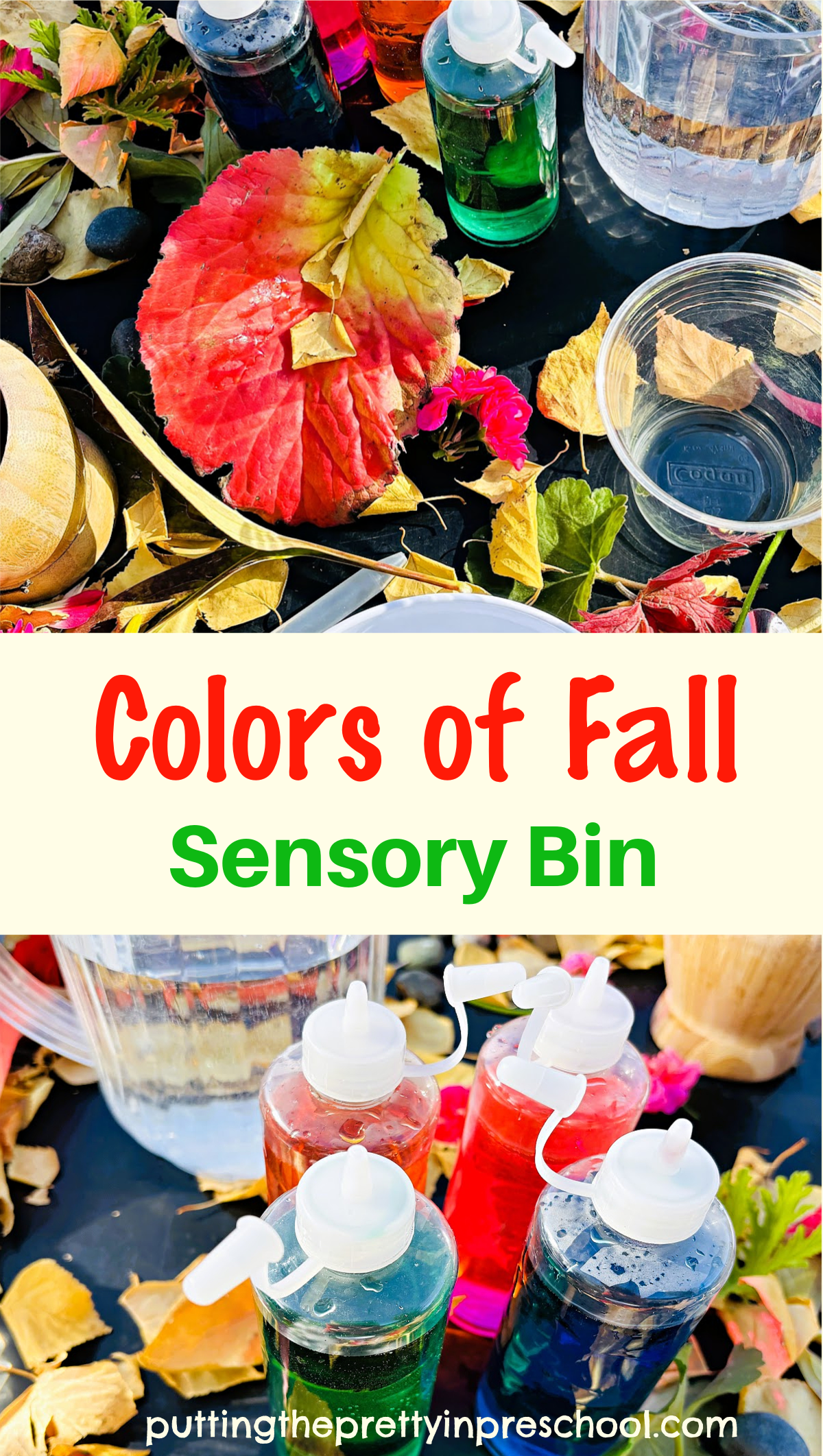 Colors of Fall Sensory Bin