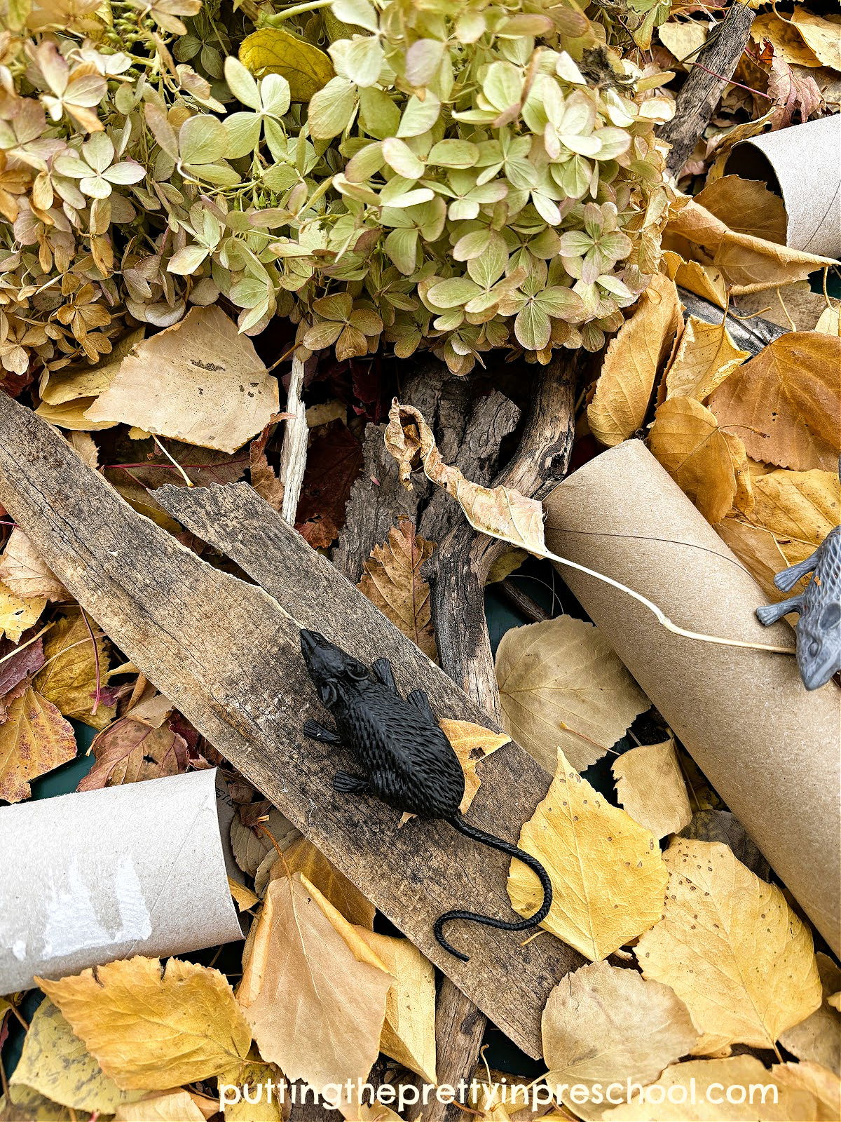 Fall Forest Sensory Bin